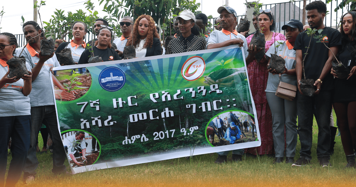 YETAF Holding Joins Ethiopia’s National Seedling Day ችግኝ ተከላ - YETAF ...